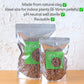 Wavyleaf Leca | Soil-free medium for semi hydroponics