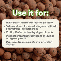 Wavyleaf Leca | Soil-free medium for semi hydroponics