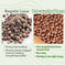 Wavyleaf Leca | Soil-free medium for semi hydroponics