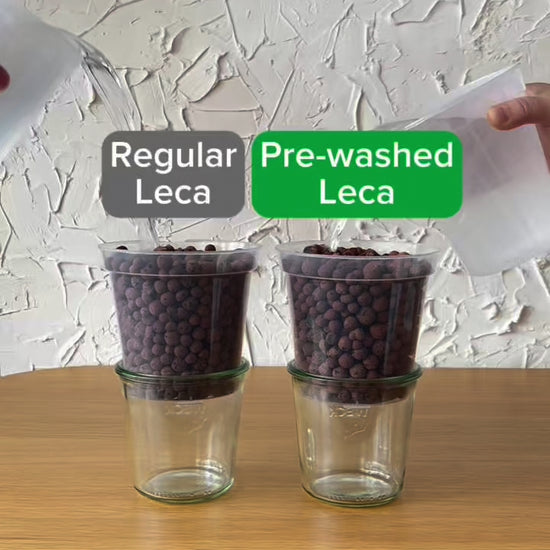Wavyleaf Leca | Soil-free medium for semi hydroponics